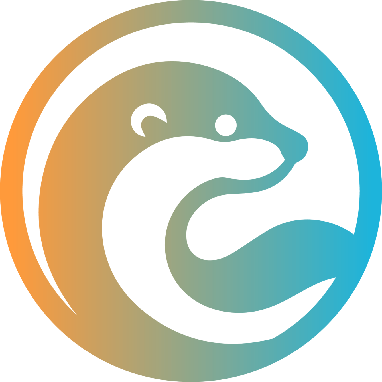 ODDR – Shaping The Future